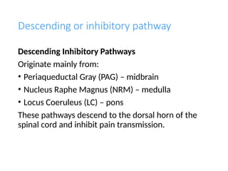 pain pathway ppt and its management and pathways | PPTX