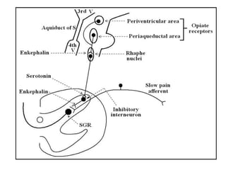 pain pathway ppt and its management and pathways | PPTX