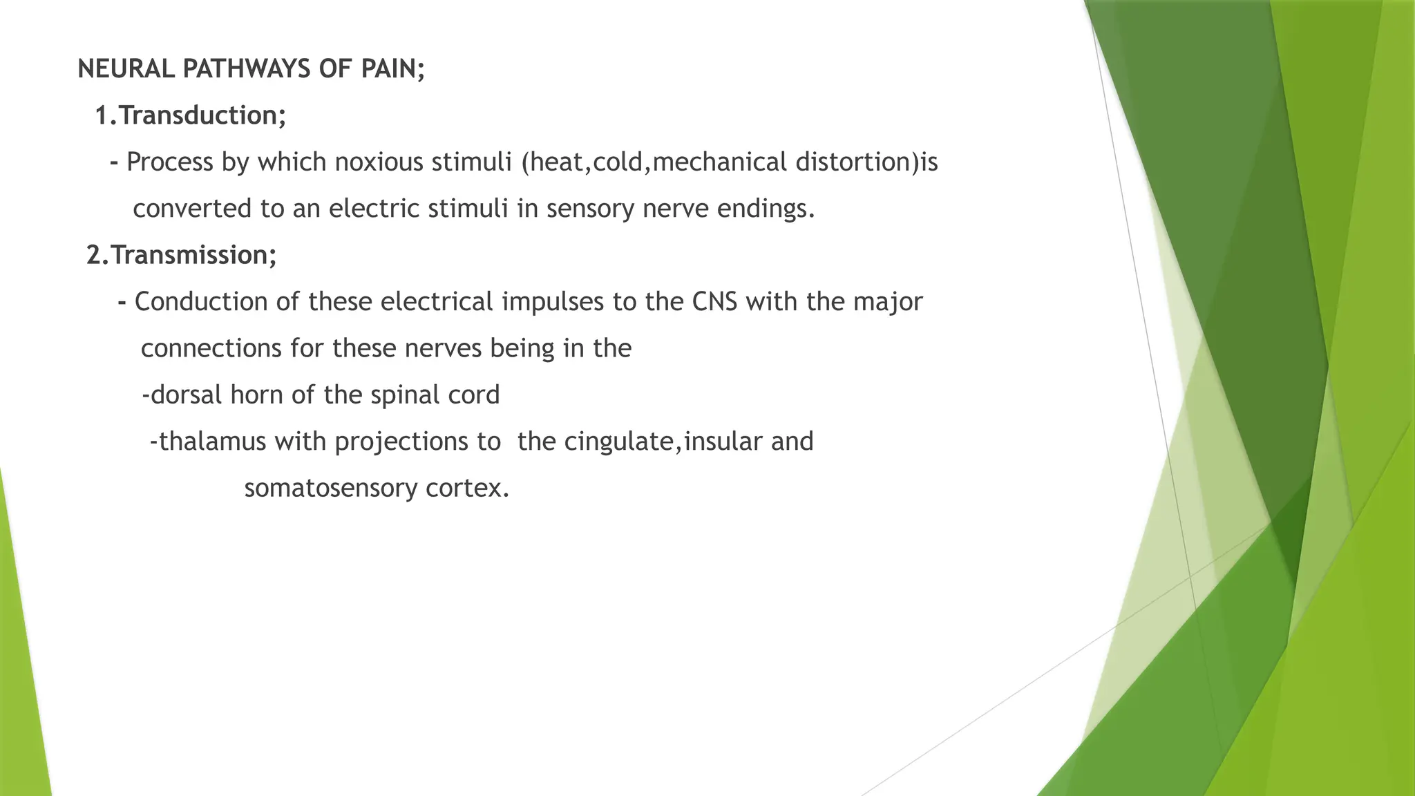 PAIN PATHWAY ppttt final 28.pptx details of different pathway | PPTX