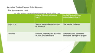 PAIN PATHWAY ppttt final 28.pptx details of different pathway | PPTX