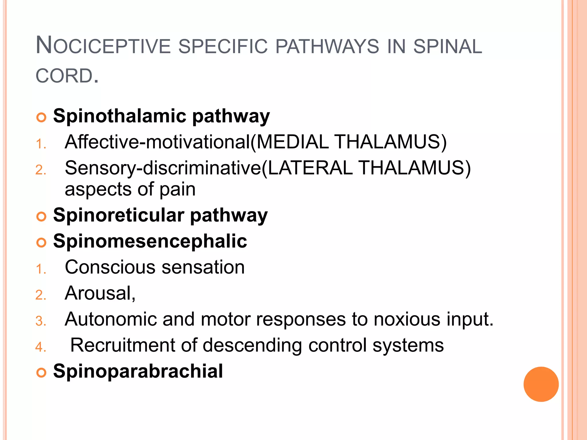 Pain pathway | PPTX
