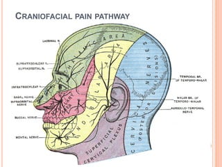 Pain pathway | PPTX