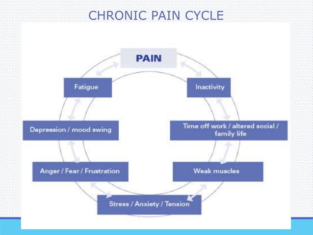 Pain pathways | PPTX