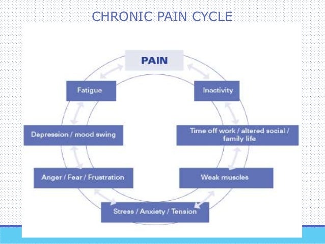 Pain pathways
