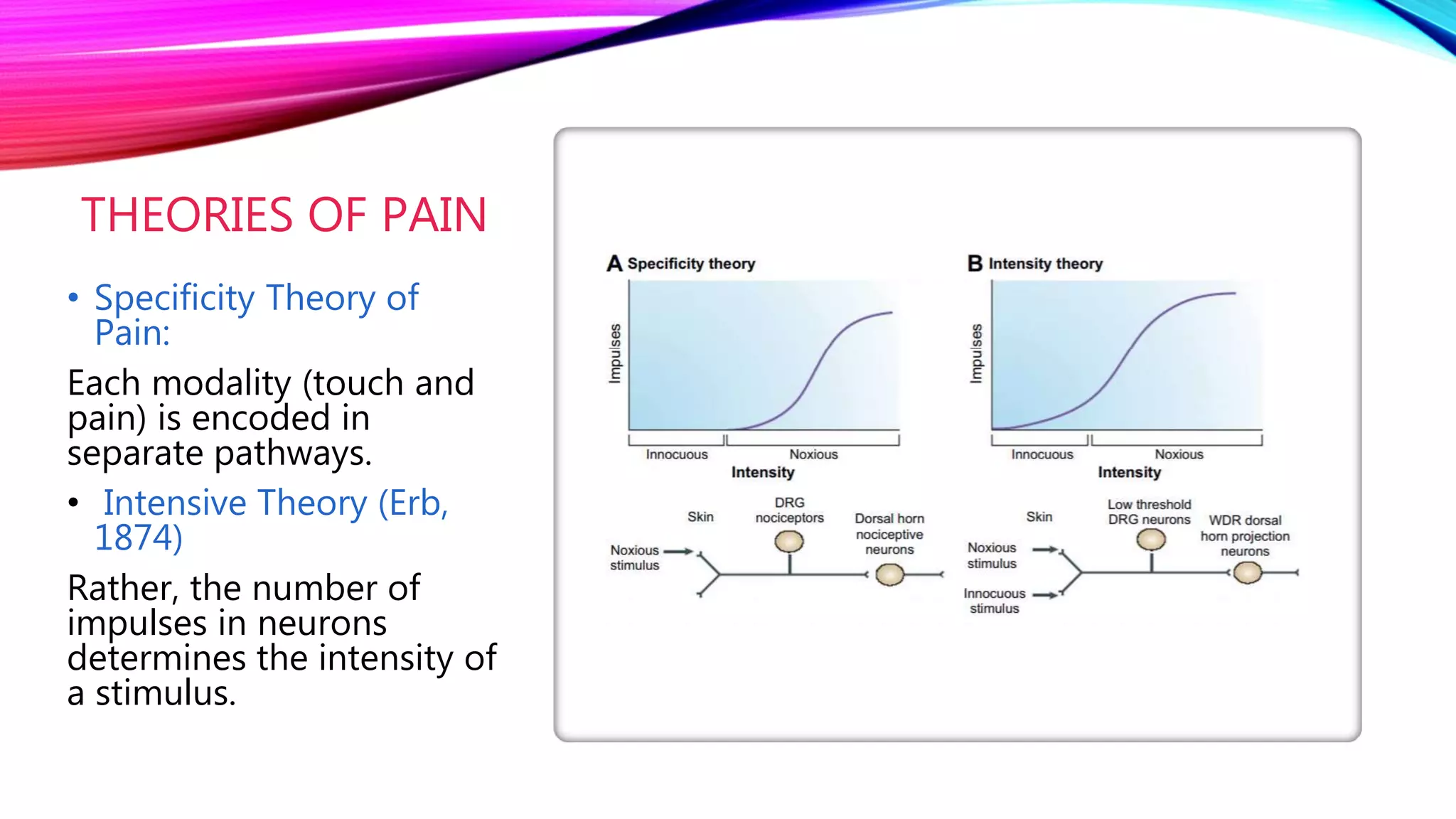 Pain pathways | PPTX