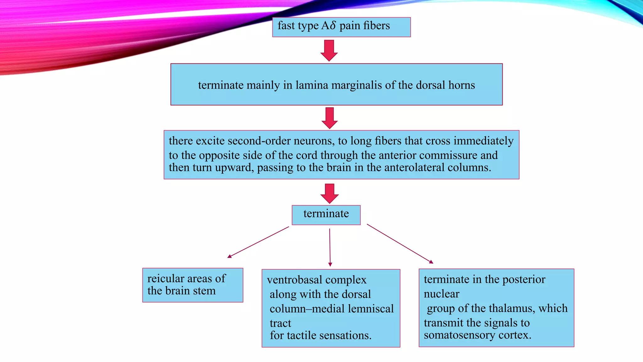 Pain pathways | PPTX