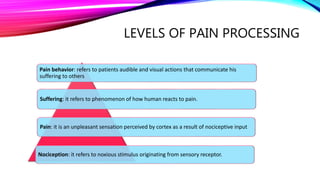Pain pathways | PPTX