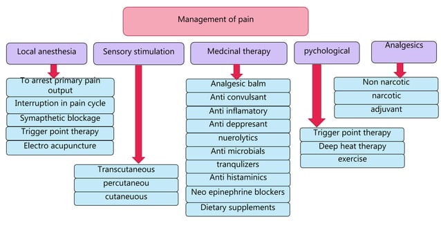 Pain pathways | PPTX | Brain and Nervous System Disorders | Diseases ...