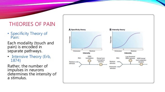 Pain pathways