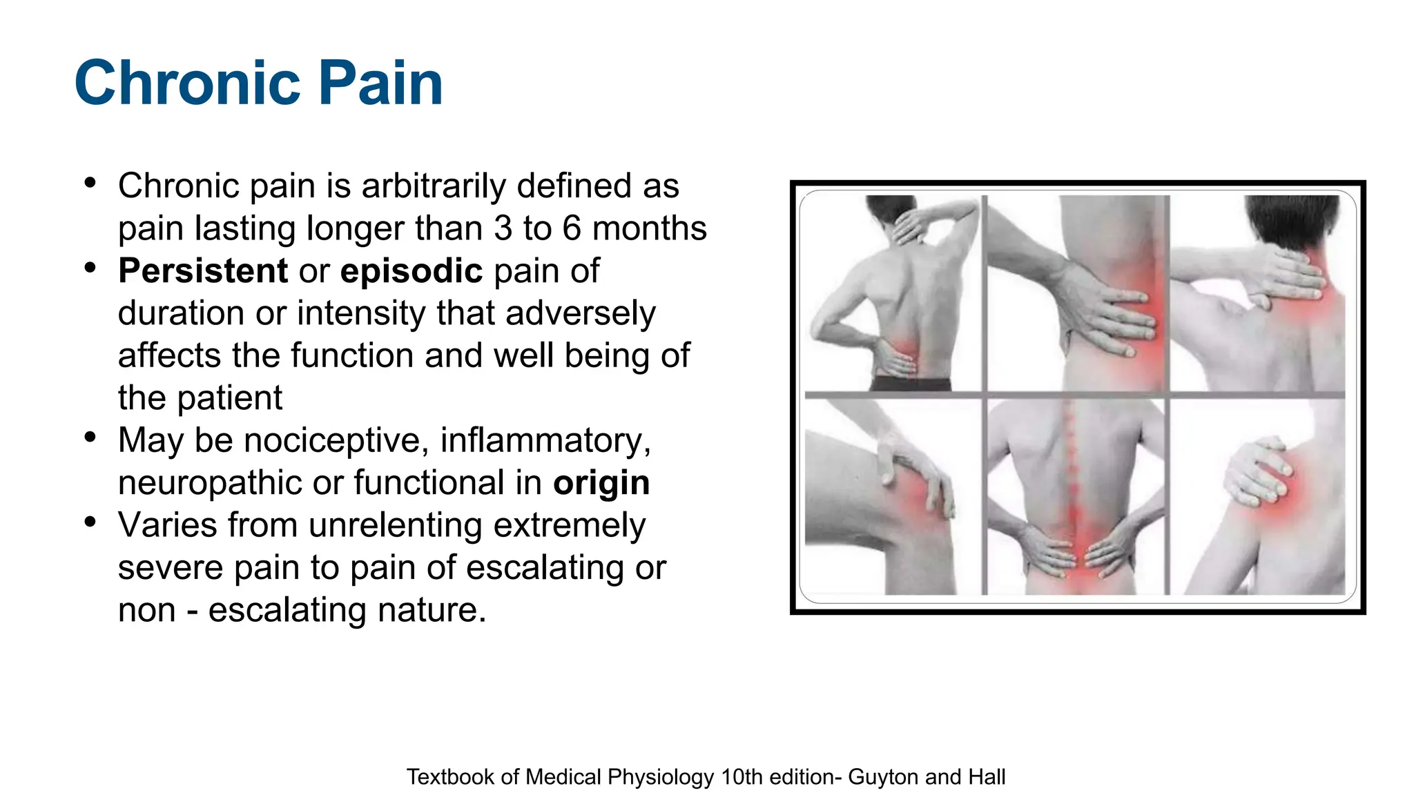 Comprehensive Review of Pain Pathways.ppt