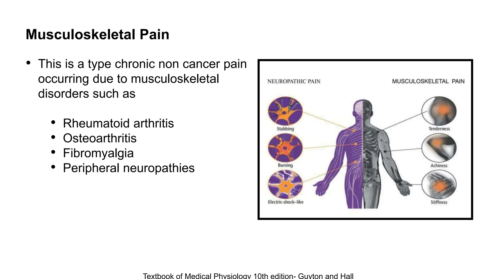 Comprehensive Review of Pain Pathways.ppt