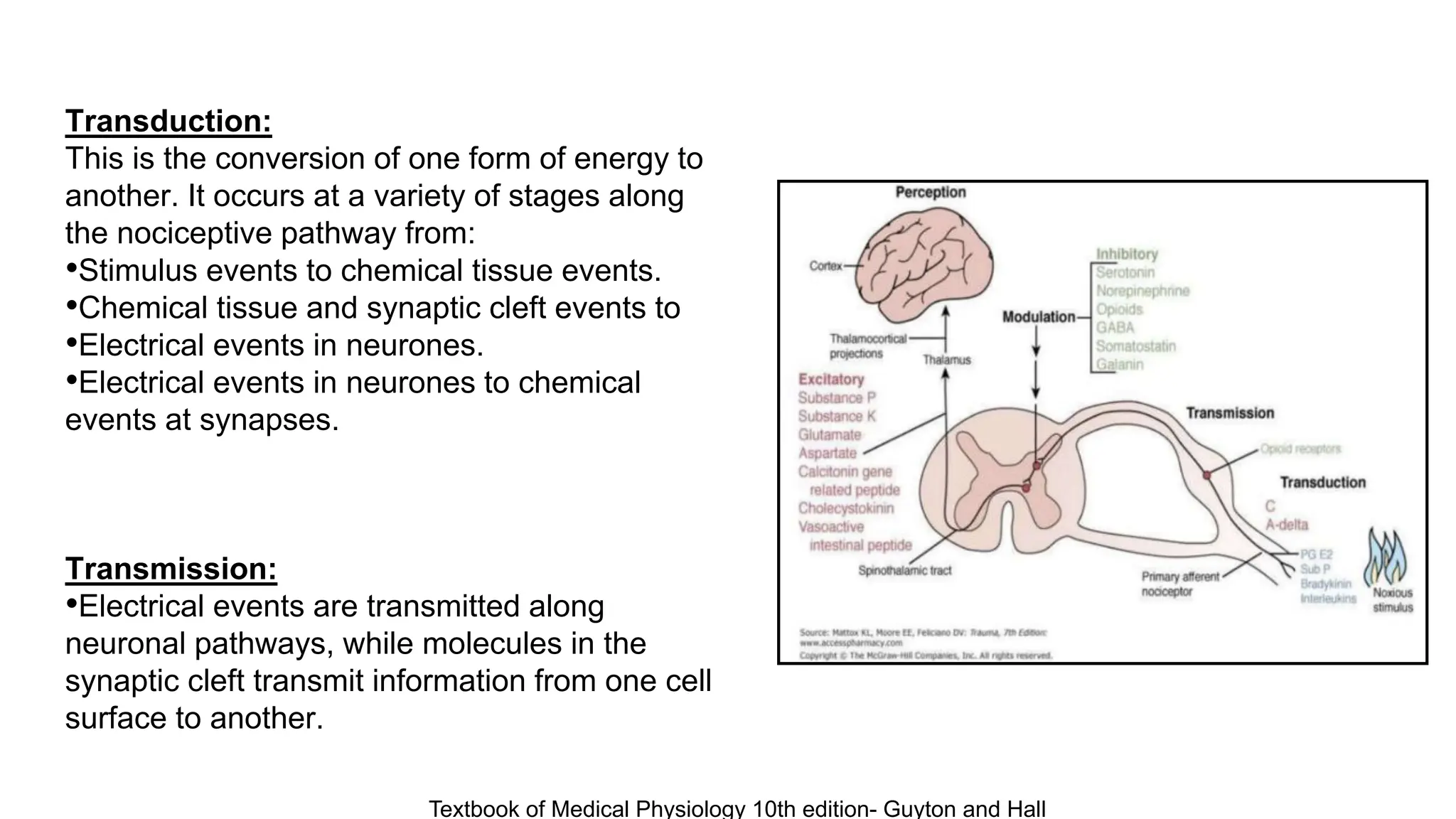 Comprehensive Review of Pain Pathways.ppt