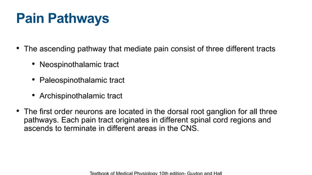 Comprehensive Review of Pain Pathways.ppt | Brain and Nervous System ...