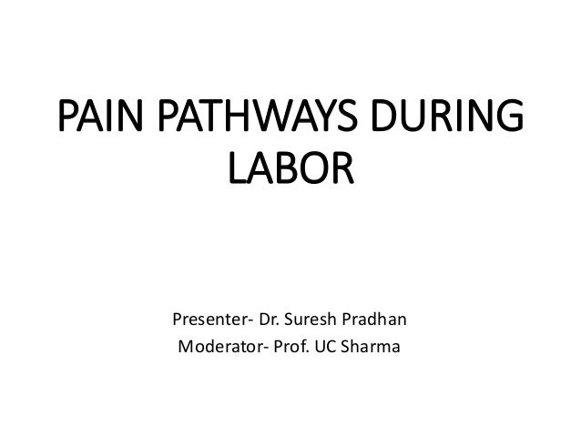 Pain pathways during labour | PPT