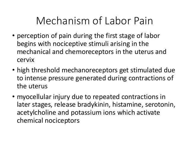 Pain pathways during labour | PPT