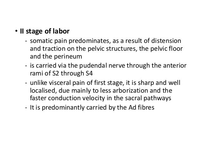 Pain pathways during labour | PPT