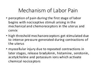 Pain pathways during labour | PPTX