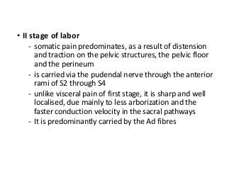 Pain pathways during labour | PPTX