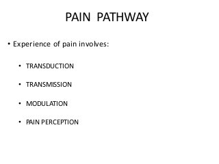 Pain pathways during labour | PPTX