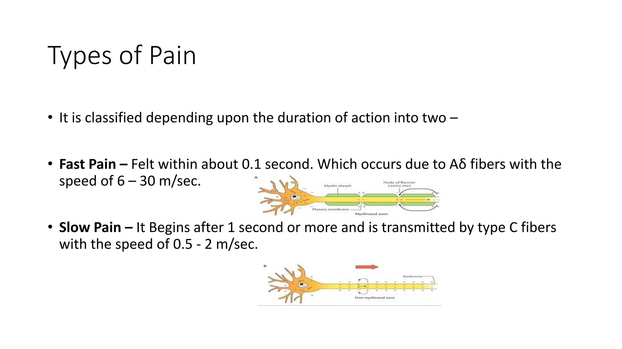 Pain Pathways In Orthodontics.pptx