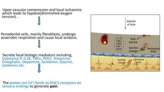 Pain Pathways In Orthodontics.pptx