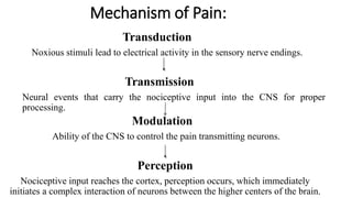 Pain Pathways In Orthodontics.pptx