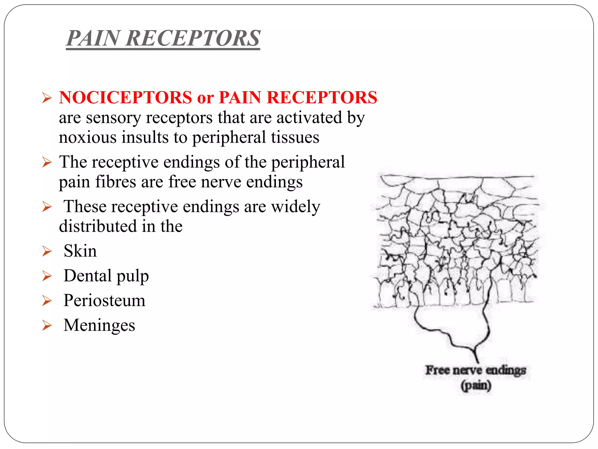 Pain pathways seminar | PPTX