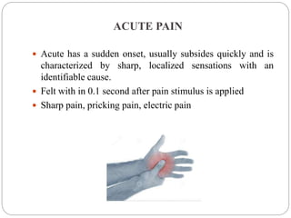 Pain pathways seminar | PPTX