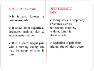 Pain pathways seminar | PPTX
