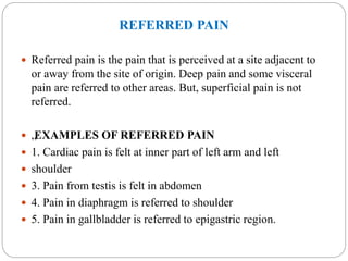 Pain pathways seminar | PPTX