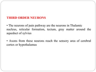 Pain pathways seminar | PPTX