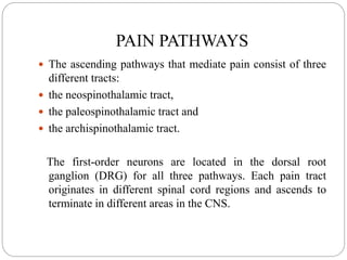 Pain pathways seminar | PPTX