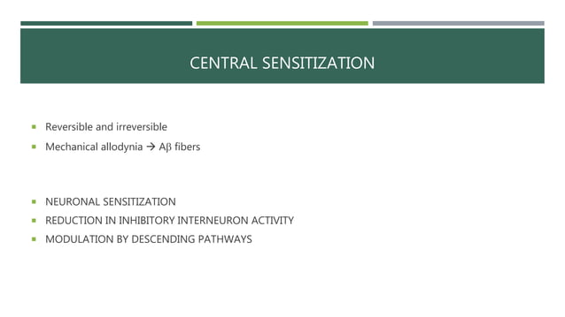 Pain Patophysiology - Central Sensitization | PPTX | Brain and Nervous ...
