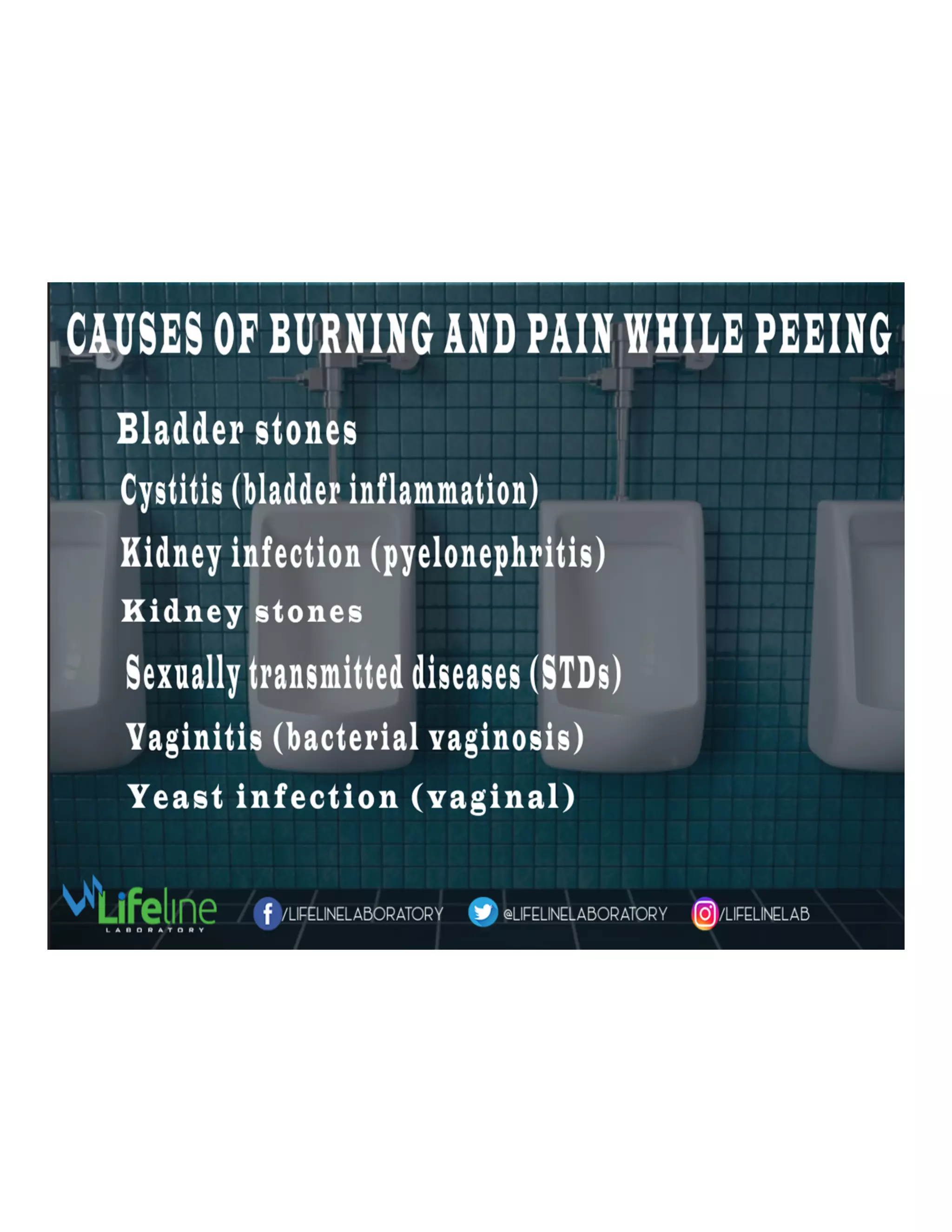 What Causes Painful Urination? | PDF