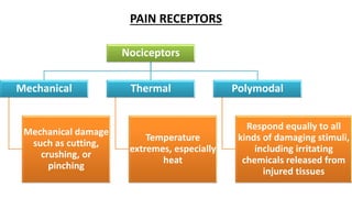 pain perception and headache (Sherwood).pptx