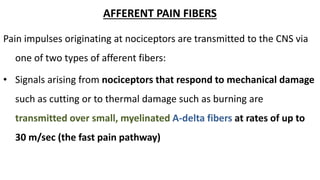 pain perception and headache (Sherwood).pptx
