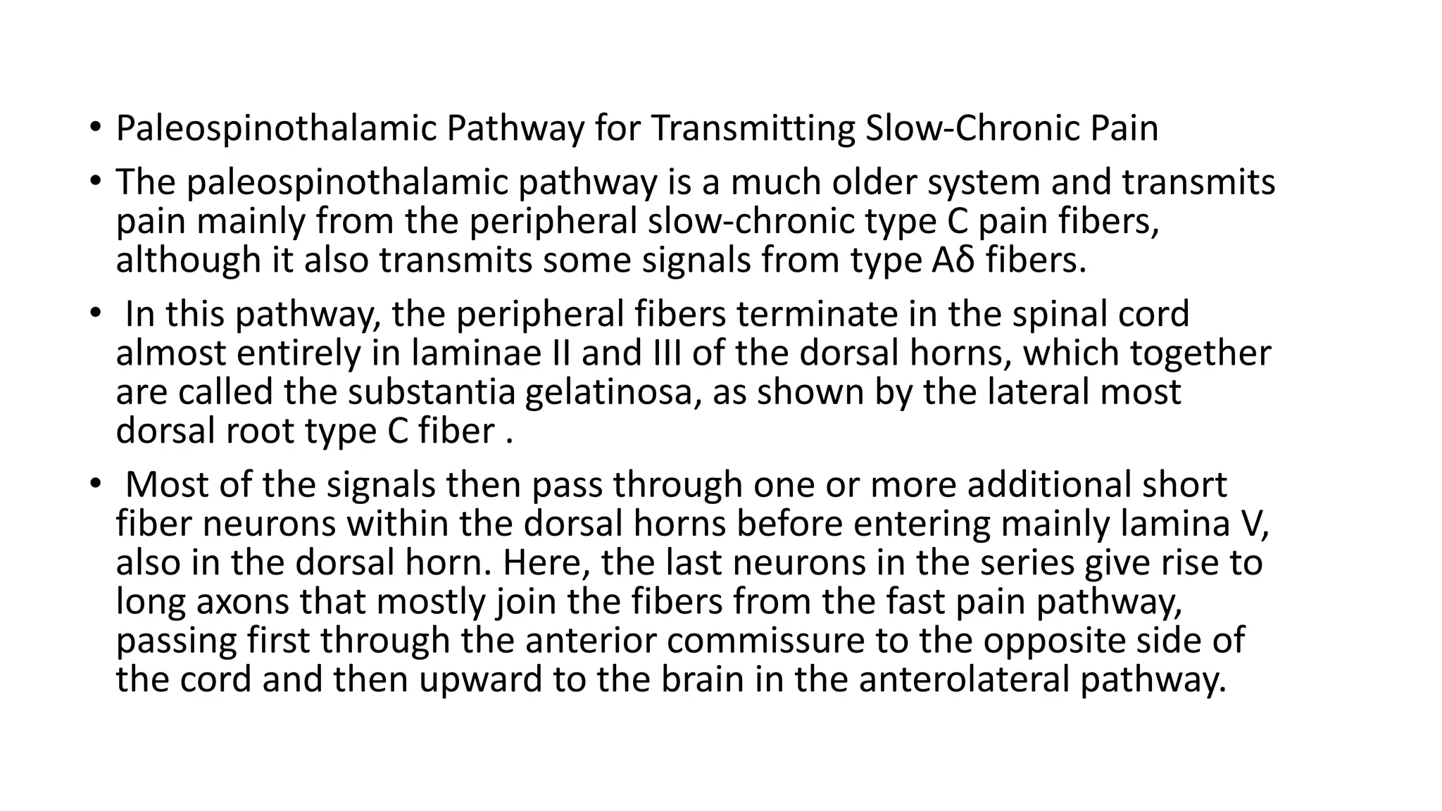 PAIN PERCEPTION, TRANSMISSION AND SUPPRESSION, THERMOREGULATION by prof ...