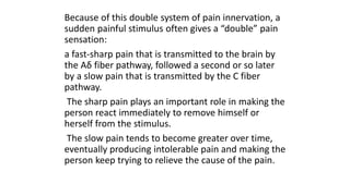 PAIN PERCEPTION, TRANSMISSION AND SUPPRESSION, THERMOREGULATION by prof ...