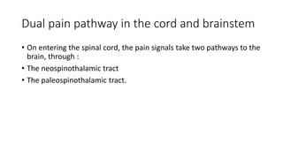 PAIN PERCEPTION, TRANSMISSION AND SUPPRESSION, THERMOREGULATION by prof ...