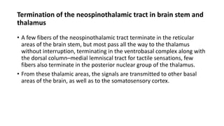 PAIN PERCEPTION, TRANSMISSION AND SUPPRESSION, THERMOREGULATION by prof ...