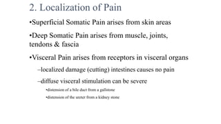 PAIN PERCEPTION, TRANSMISSION AND SUPPRESSION, THERMOREGULATION by prof ...