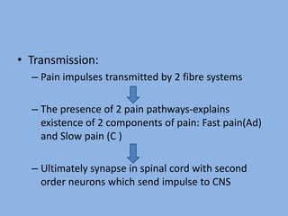 Pain physiology | PPTX