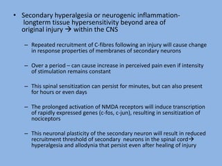 Pain physiology | PPTX