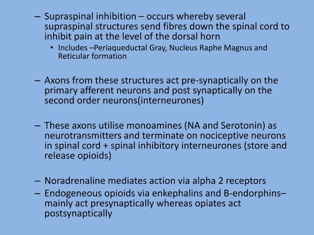 Pain physiology | PPTX