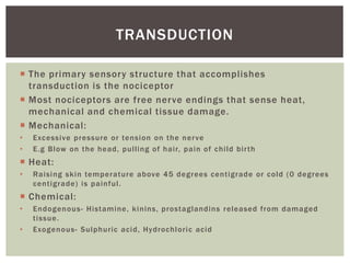 PAIN PHYSIOLOGY.ppt
