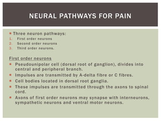 PAIN PHYSIOLOGY.ppt