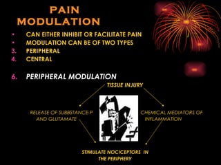 Pain Physiology Rdt | PPT