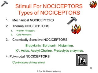 Pain physiology 2019 20- i | PPT