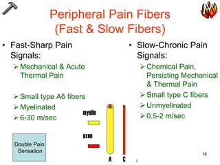 Pain physiology 2019 20- i | PPT