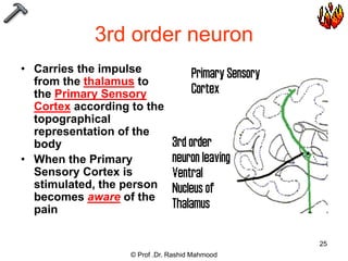 Pain physiology 2019 20- i | PPT